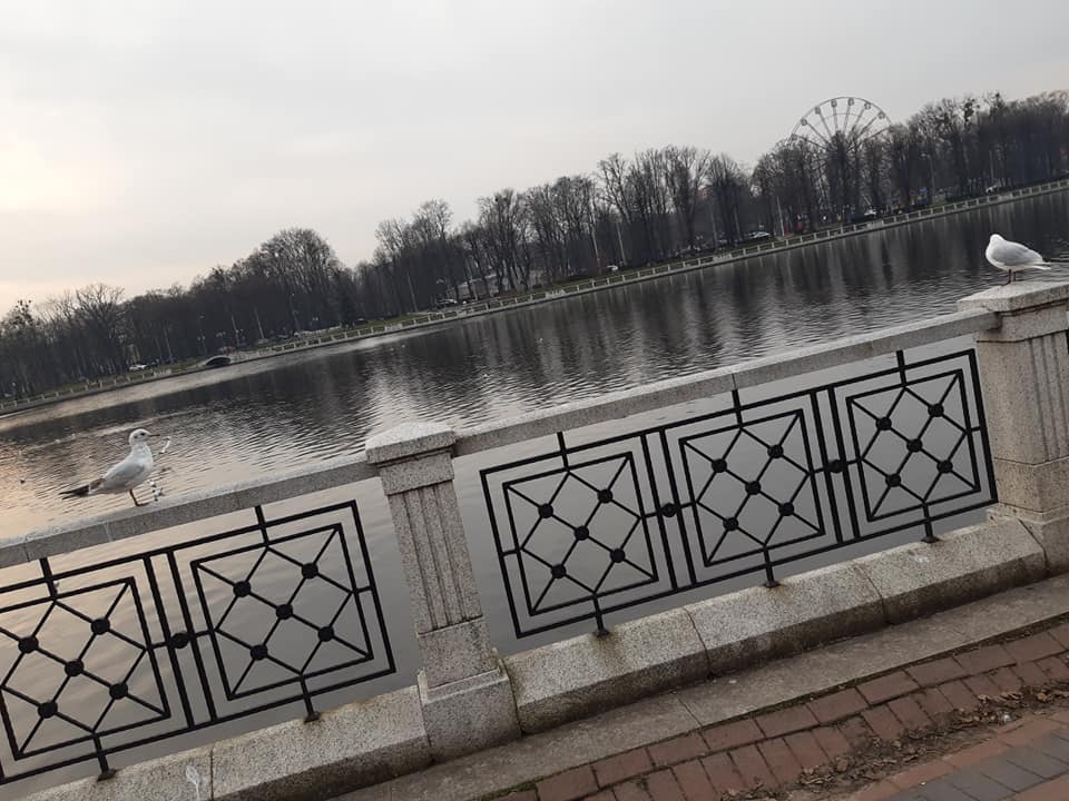 Self-isolation Kaliningrad - Expat in Kaliningrad, Russia