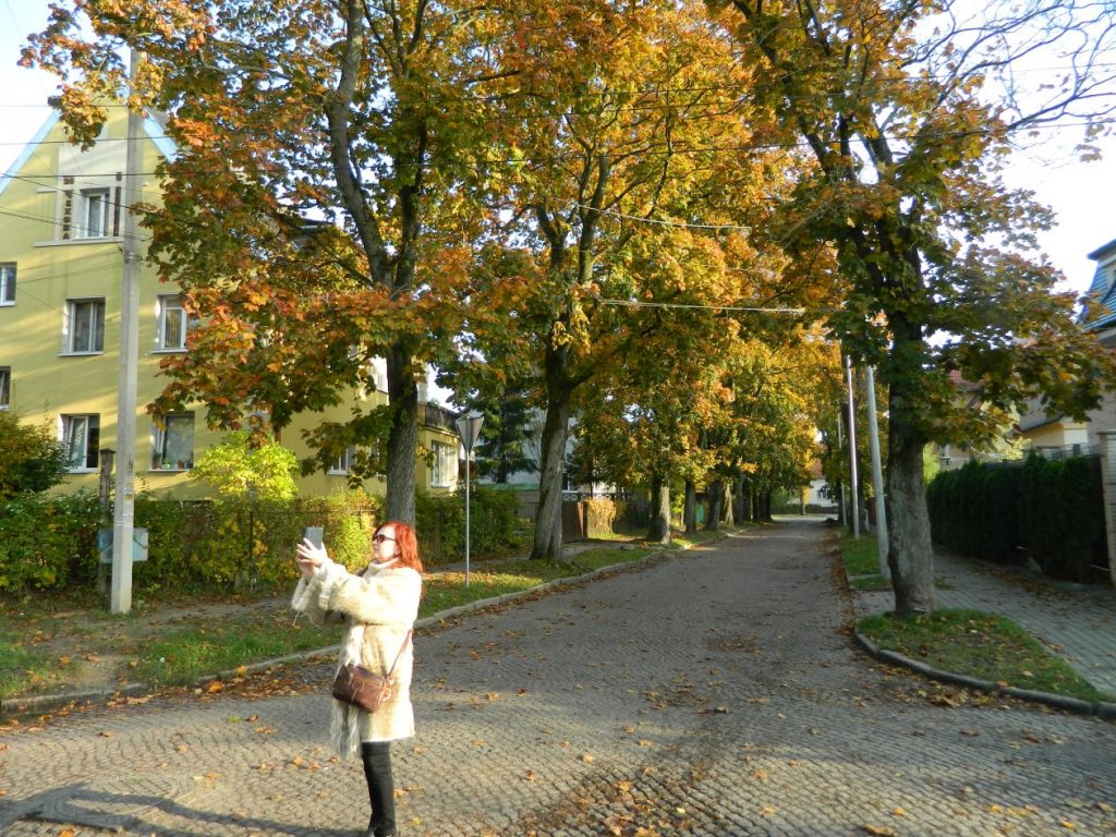 An Autumn Walk in Kaliningrad - Expat in Kaliningrad, Russia