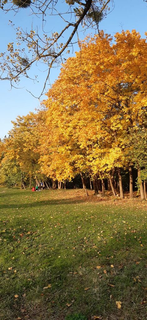 An Autumn Walk in Kaliningrad - Expat in Kaliningrad, Russia