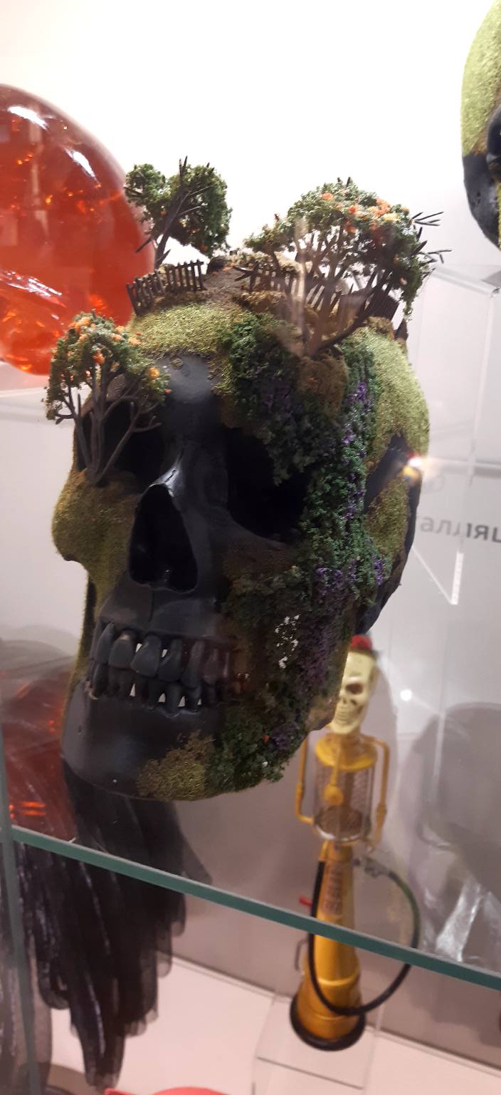 Amazed at the Museum of Skulls & Skeletons Zelenogradsk - Expat in ...