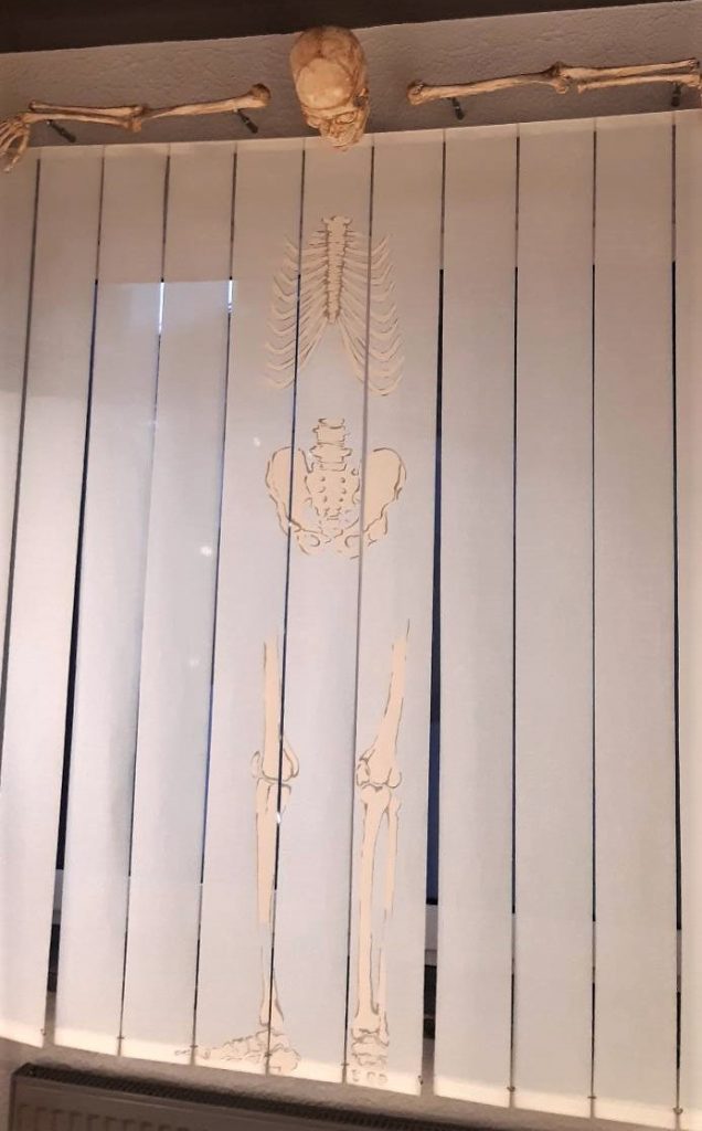 Amazed at the Museum of Skulls & Skeletons Zelenogradsk - Expat in ...