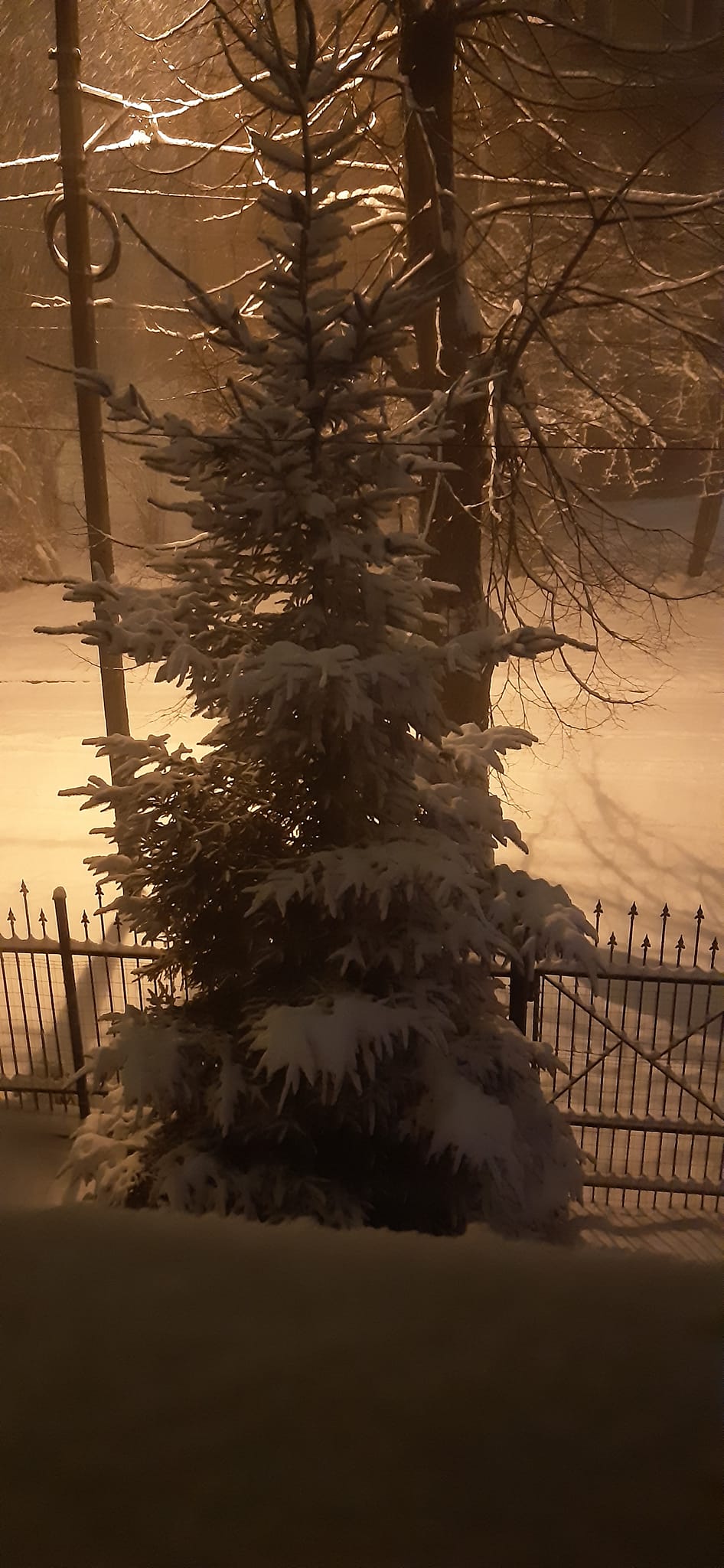 Kaliningrad Photogallery - Expat in Kaliningrad, Russia